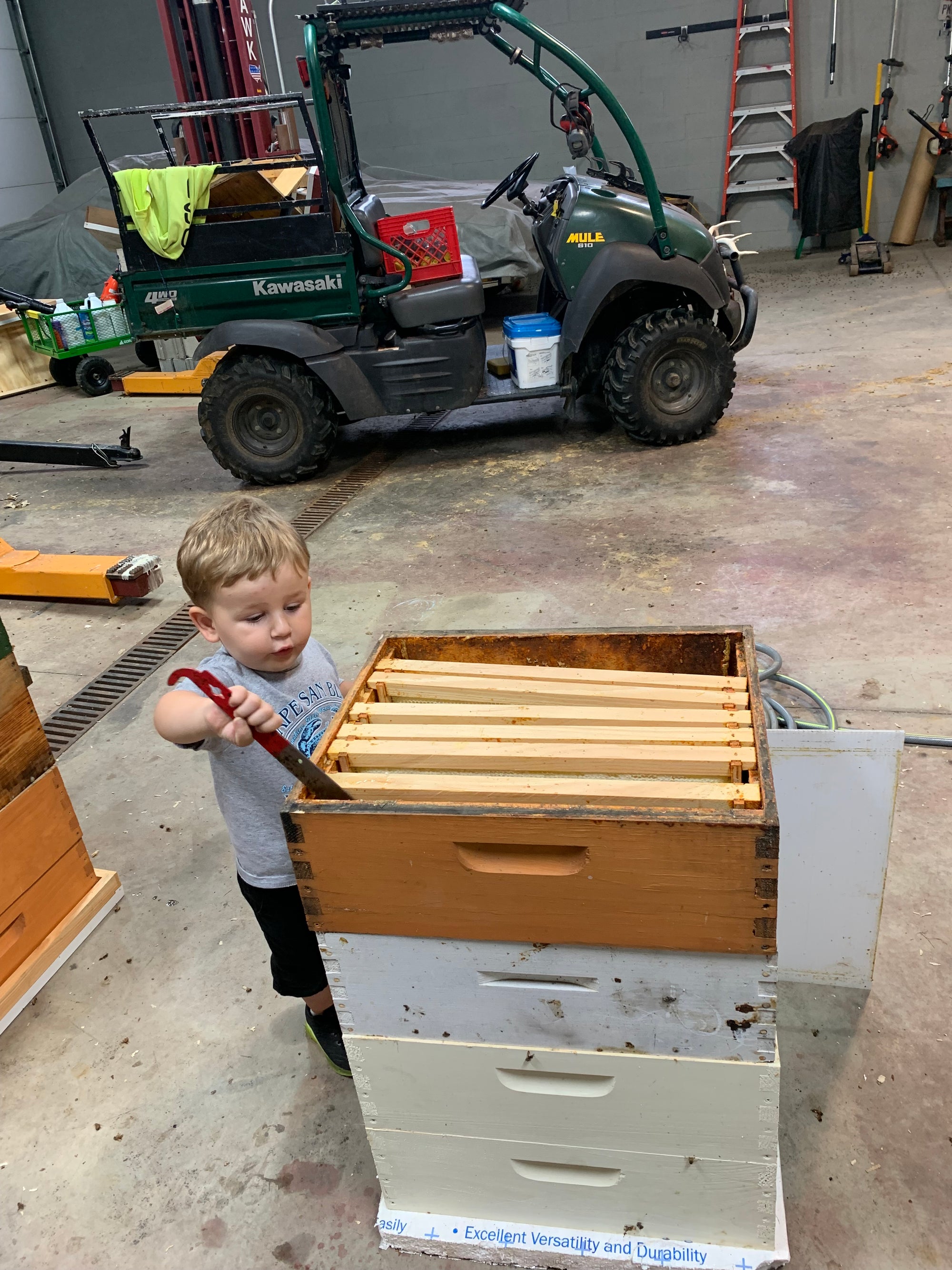 Local Bee farm that sells Queens Nucs Honey and Beekeeping Supplies ...